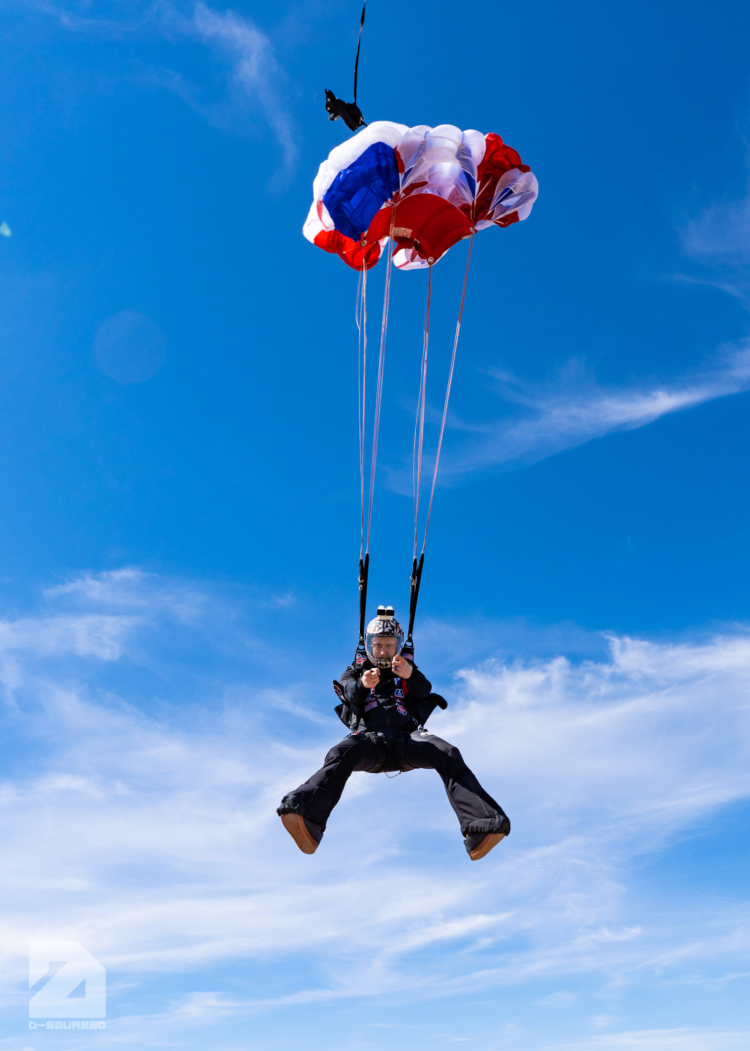 U.S. Parachute Team > Teams